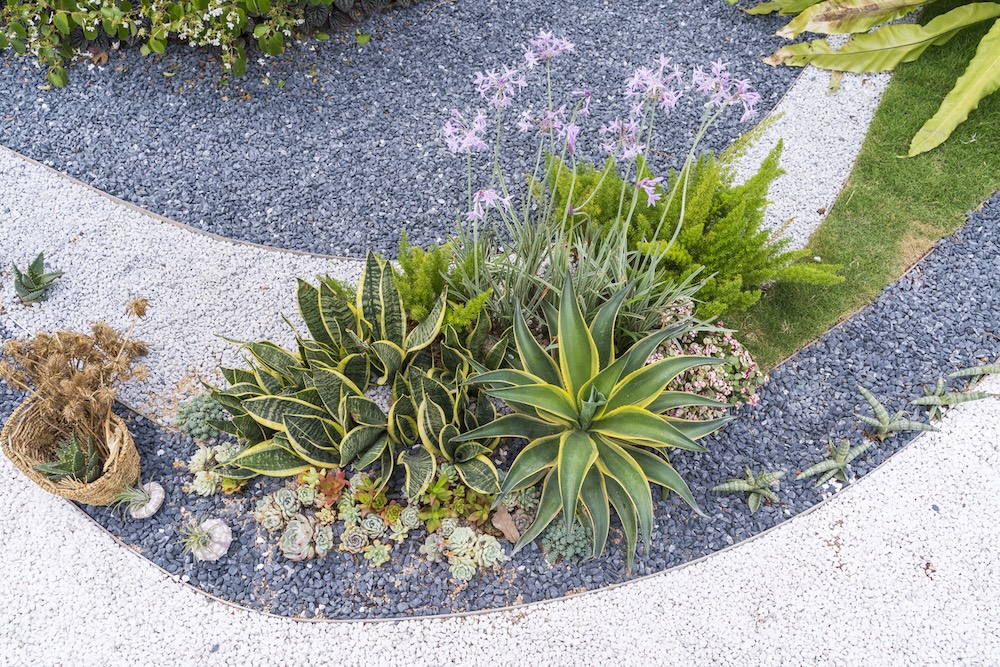 Fire-Resistant Gardening Tips for Australian Homes | EverEdge Australia