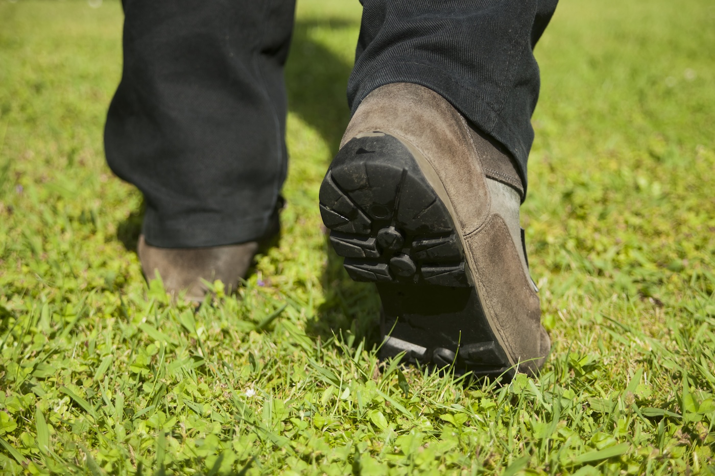 How EverEdge Protects Your Lawn from Heavy Foot Traffic